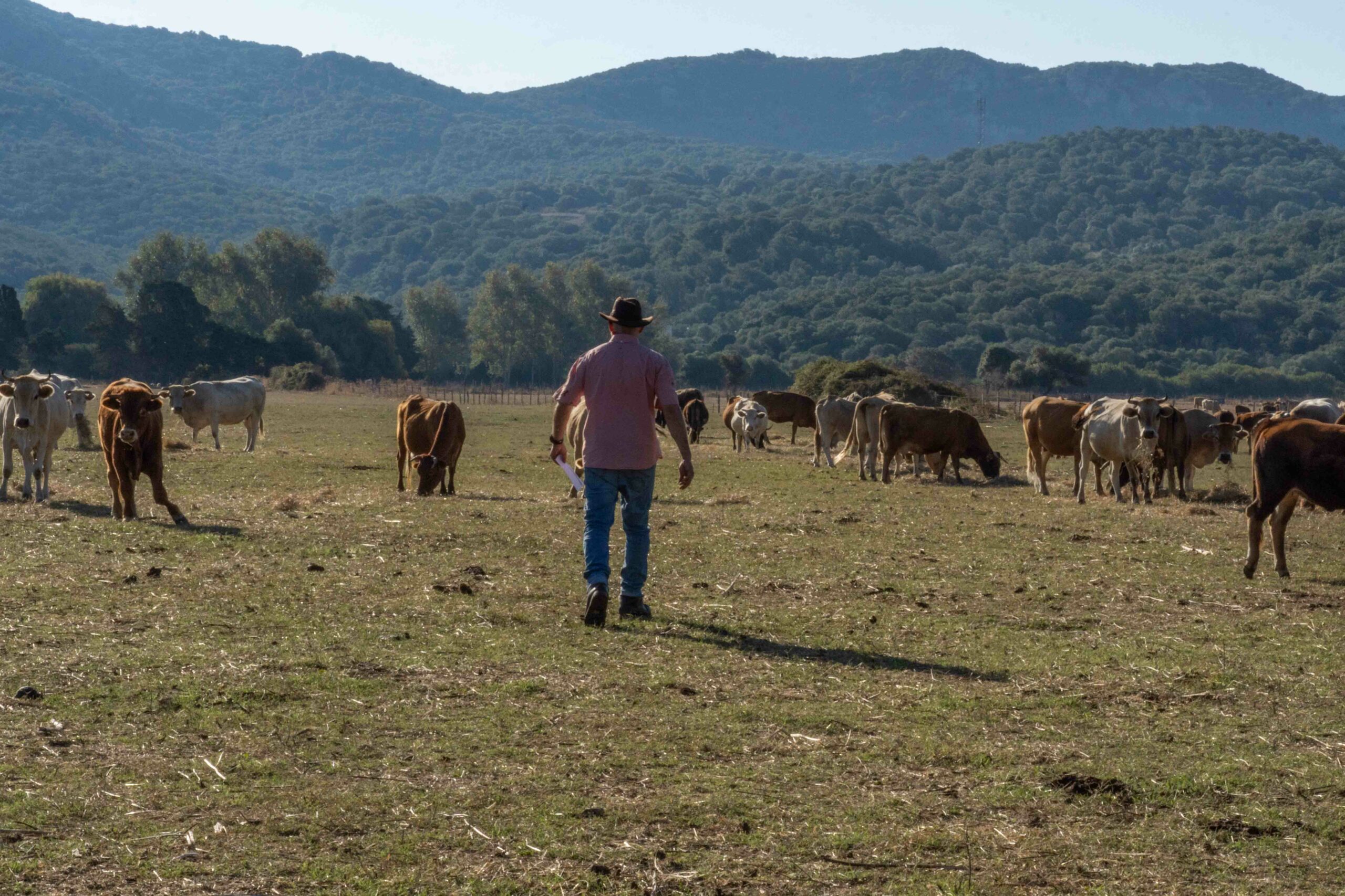 Charcuterie Pierre Geronimi et Fils - Produits Corses